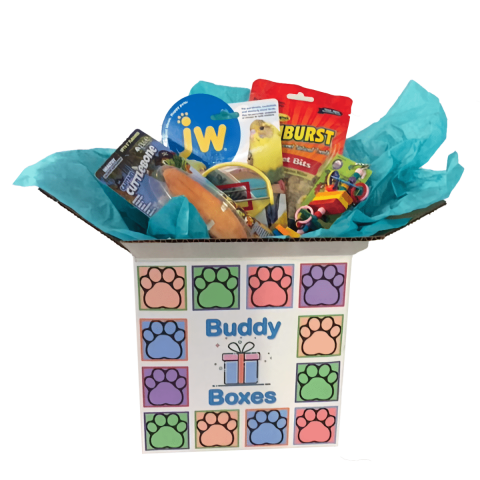 Buddy's A Pet's Store- Welcome - Buddy's A Pet's Store